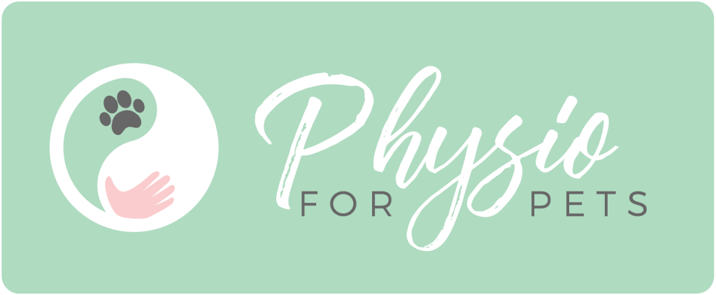 Cat Physiotherapy Perth | Physio for Pets