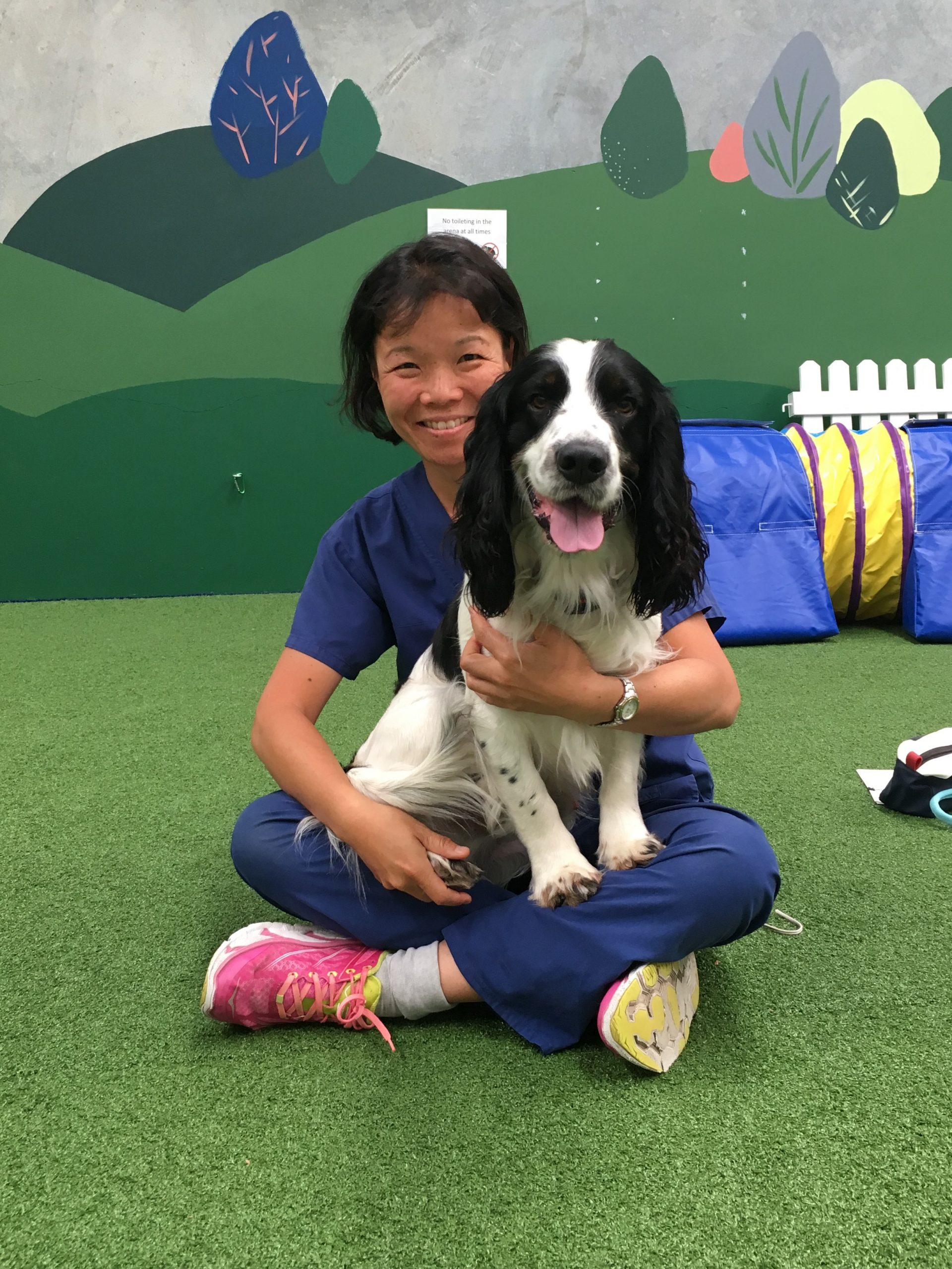 Dog Physiotherapy Perth | Equine Physio Perth | Physio for Pets